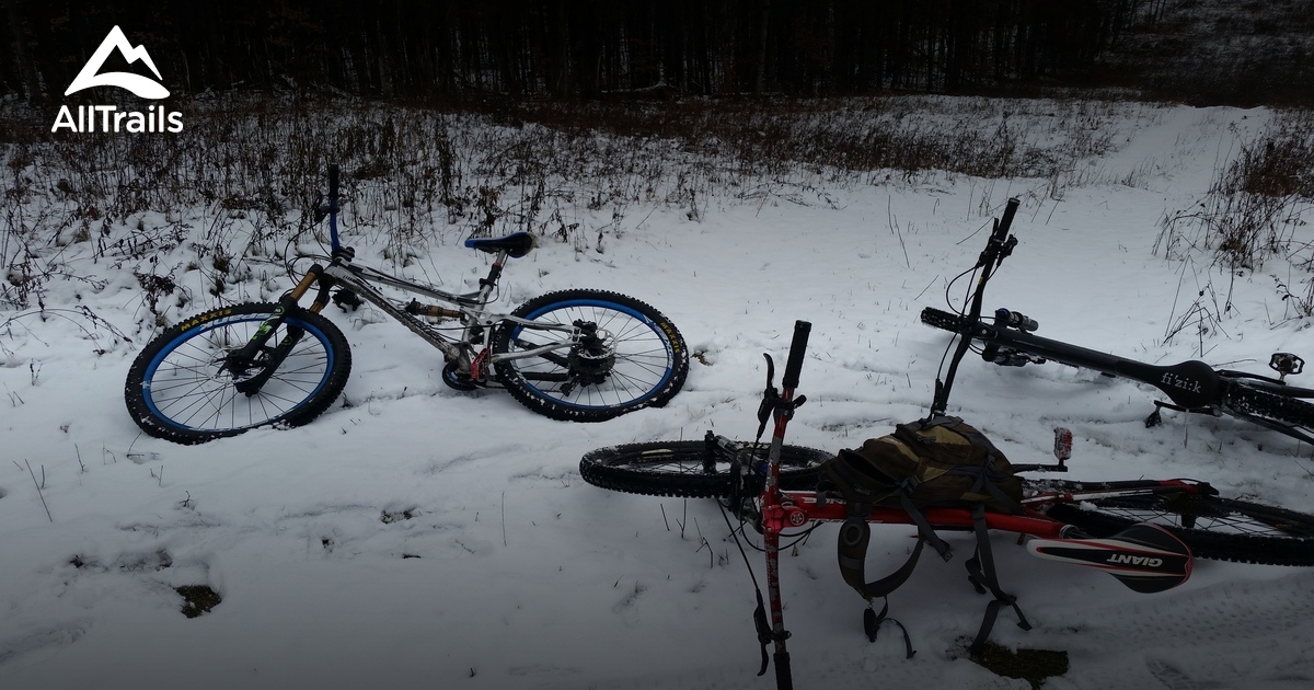 10 Best hikes and trails in Simcoe County Forests | AllTrails