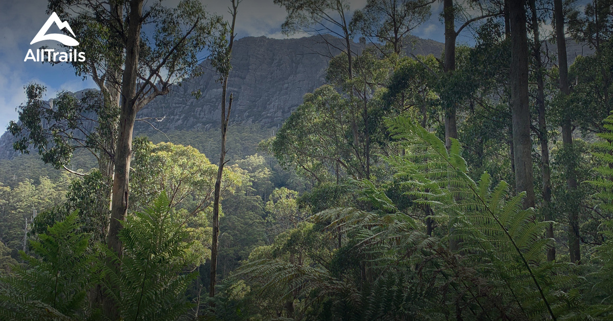 Best waterfall trails in Mount Roland Regional Reserve | AllTrails