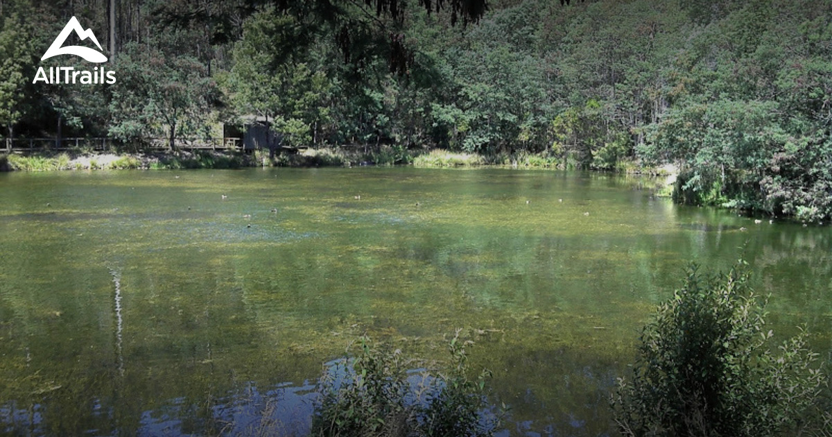 Best hikes and trails in Warrawee Reserve | AllTrails