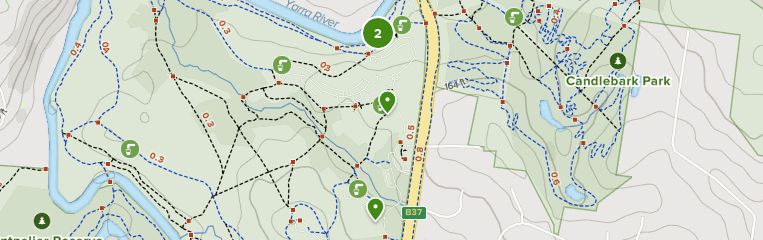 Westerfolds Park – 10 najlepszych szlaków | AllTrails