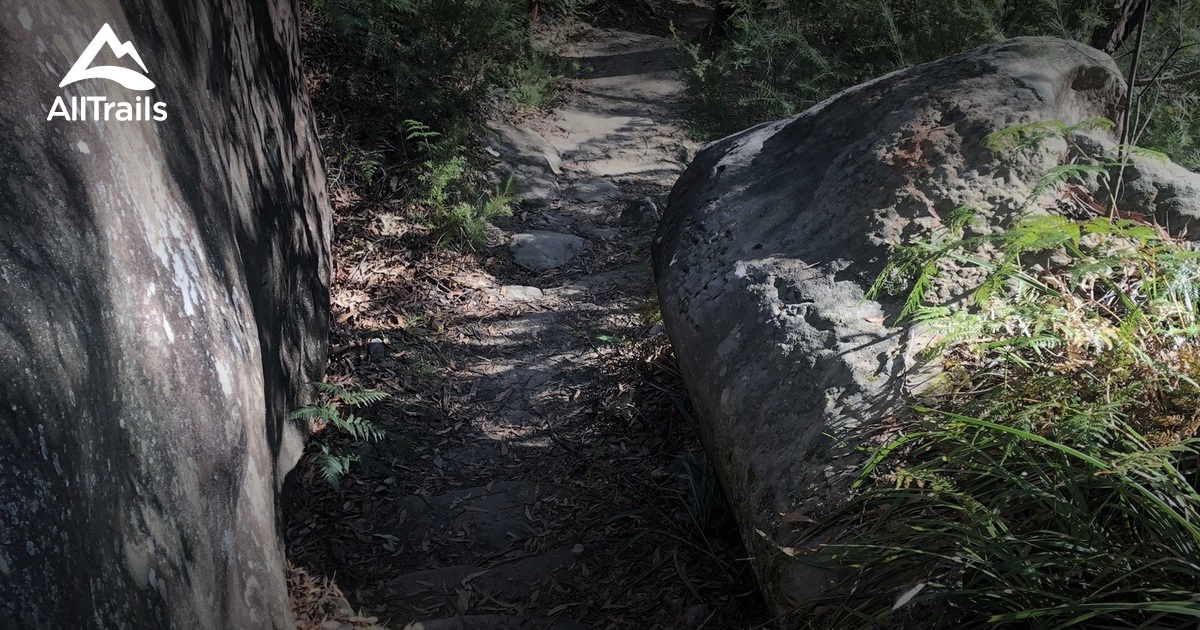 Best hikes and trails in Sassafras Park | AllTrails