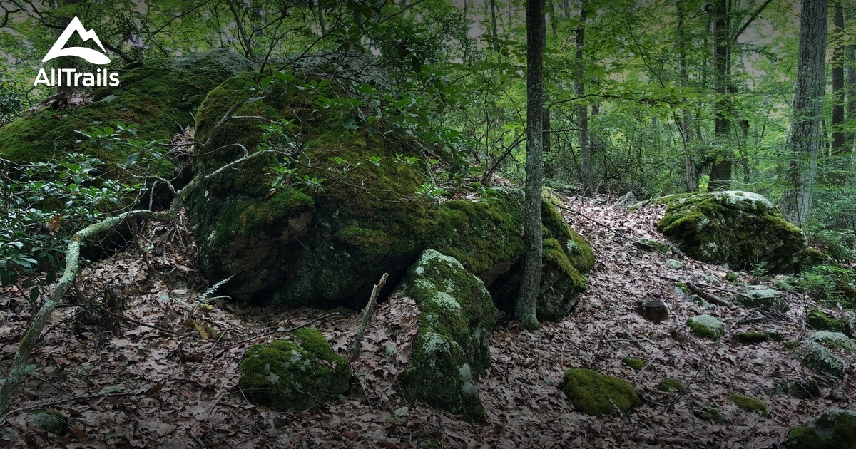 Best hikes and trails in Upper Three Mile River Preserve | AllTrails