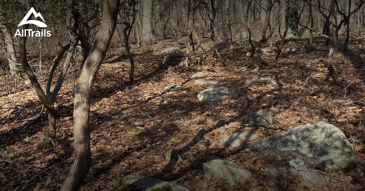 Best hikes and trails in Chestnut Hill Preserve | AllTrails