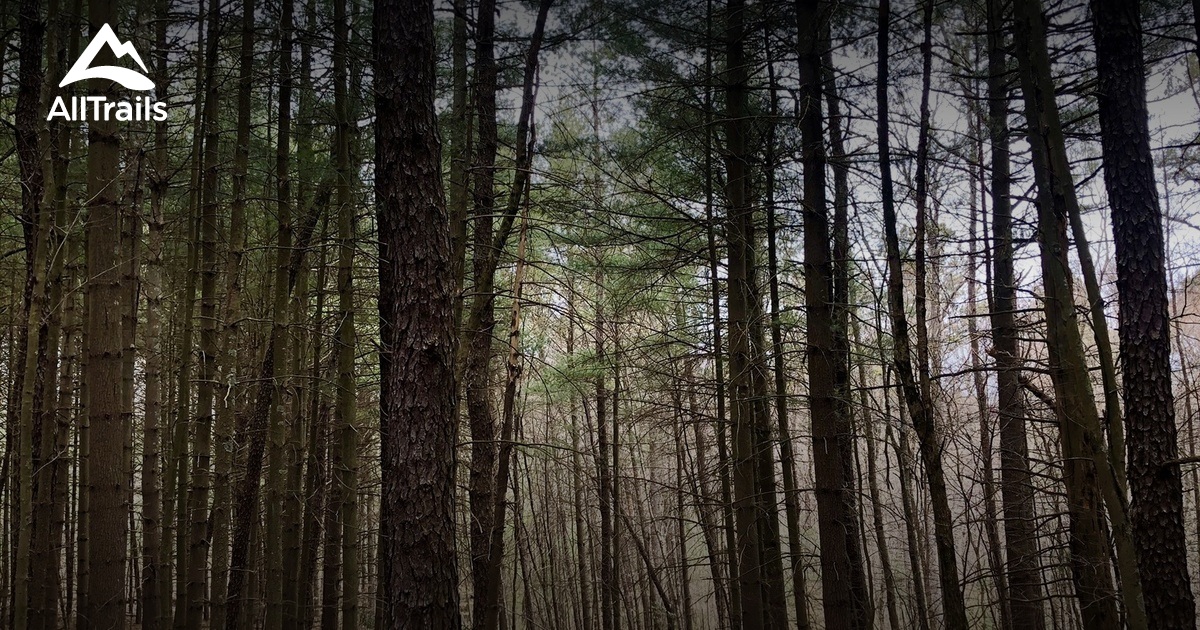 Best hikes and trails in Shafran Conservation Area | AllTrails