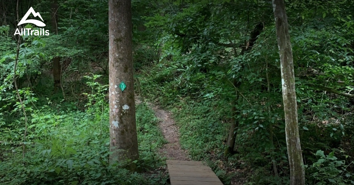 Best hikes and trails in Timberlane Ravine Park | AllTrails
