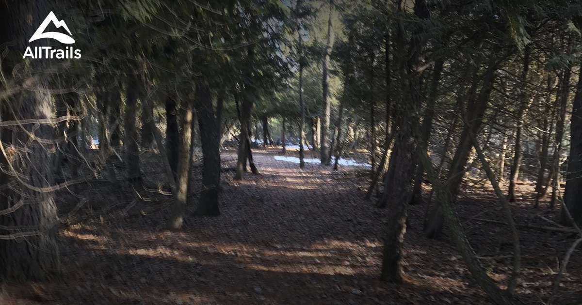 Best hikes and trails in North Point Park | AllTrails