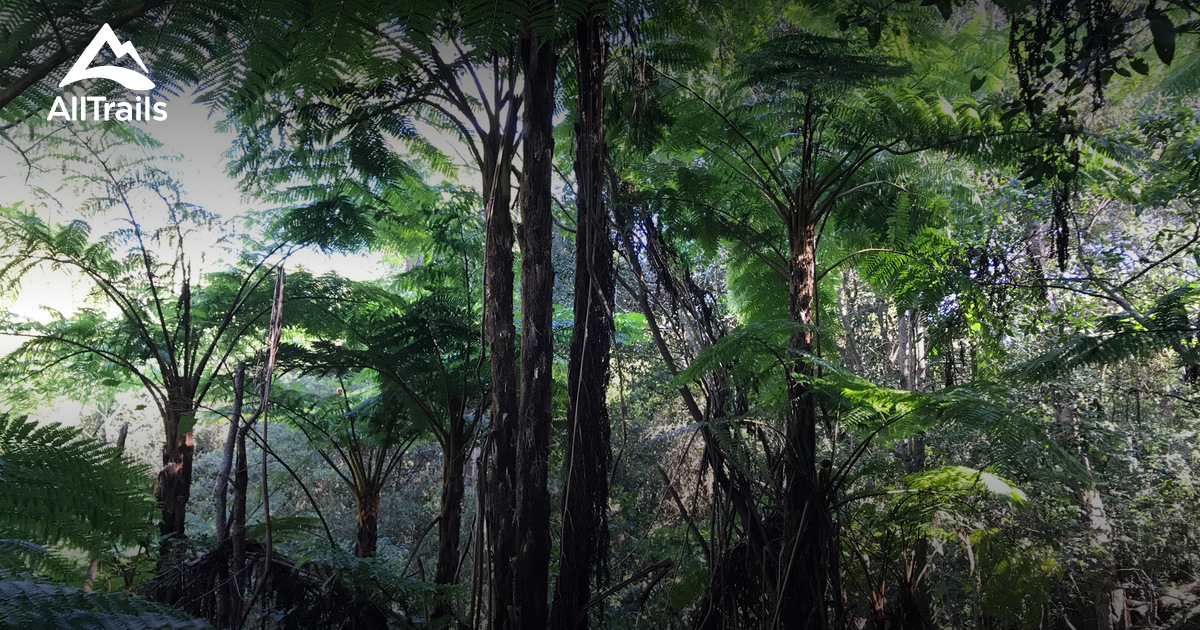 Best hikes and trails in Batten Reserve | AllTrails