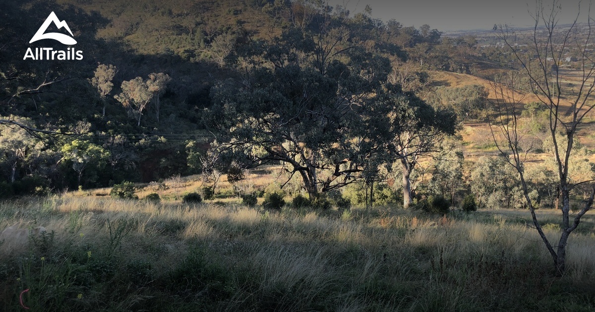 Best hikes and trails in Tamworth Mountain Bike Park | AllTrails