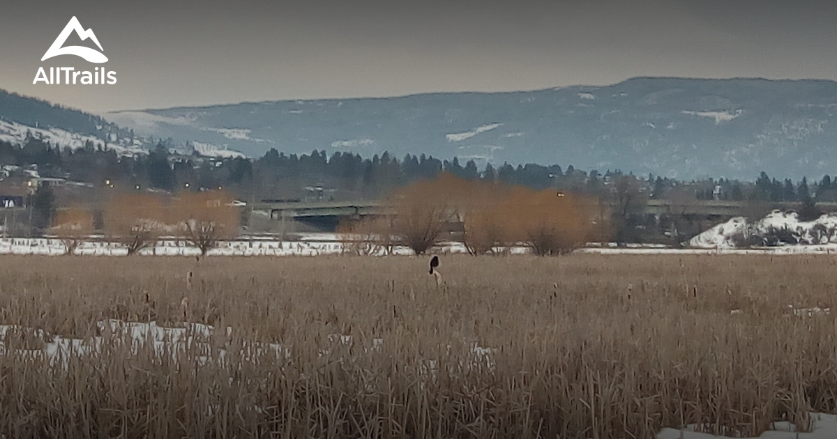 Best hikes and trails in Swan Lake Nature Reserve | AllTrails