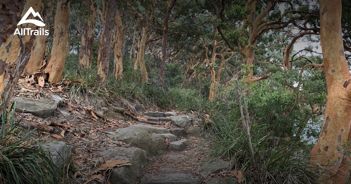 Best hikes and trails in Berry Island Reserve | AllTrails