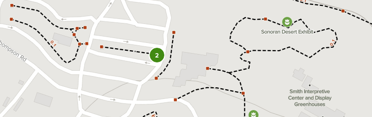 Best 10 Trails in Boyce Thompson Arboretum | AllTrails