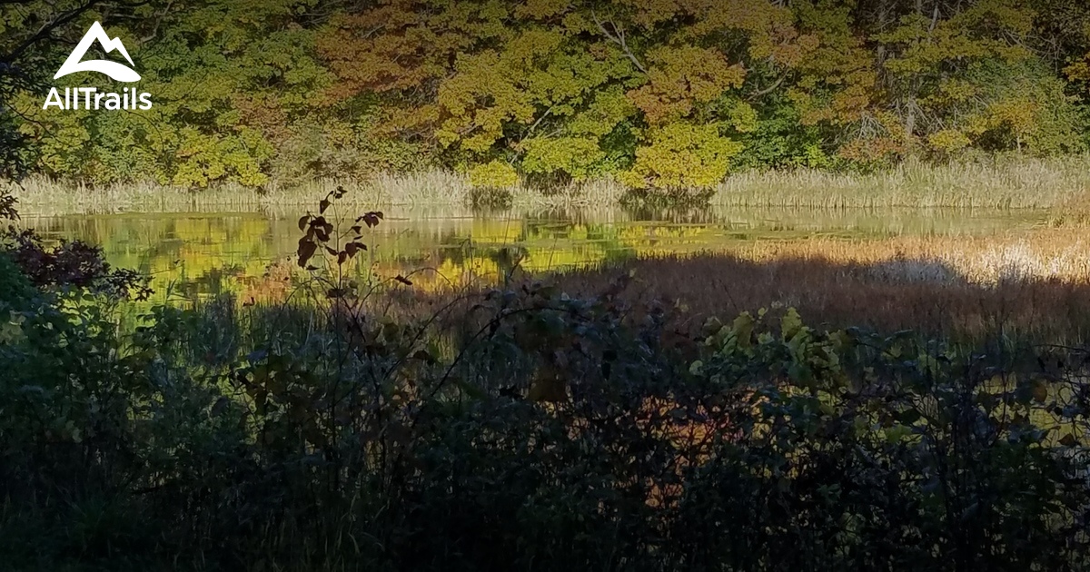 Best Trails In Pine Point Regional Park Minnesota Alltrails