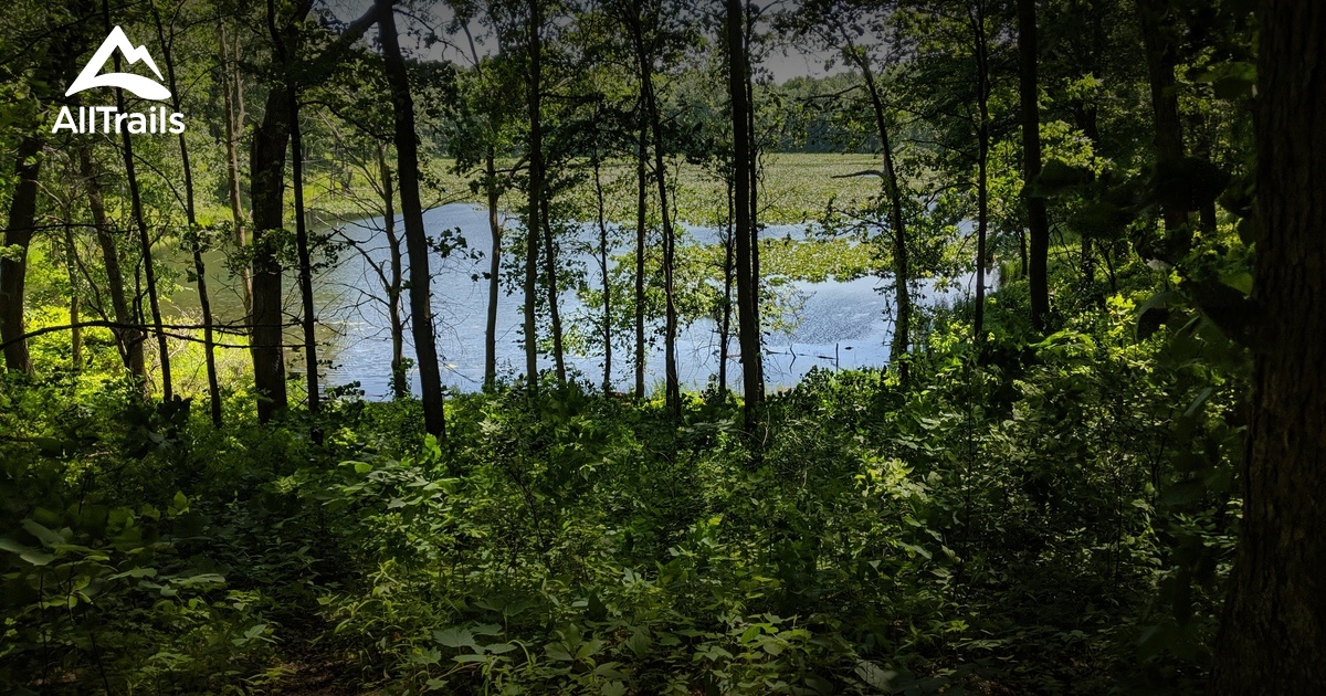 Best Trails in Fort Custer Recreation Area - Michigan | AllTrails