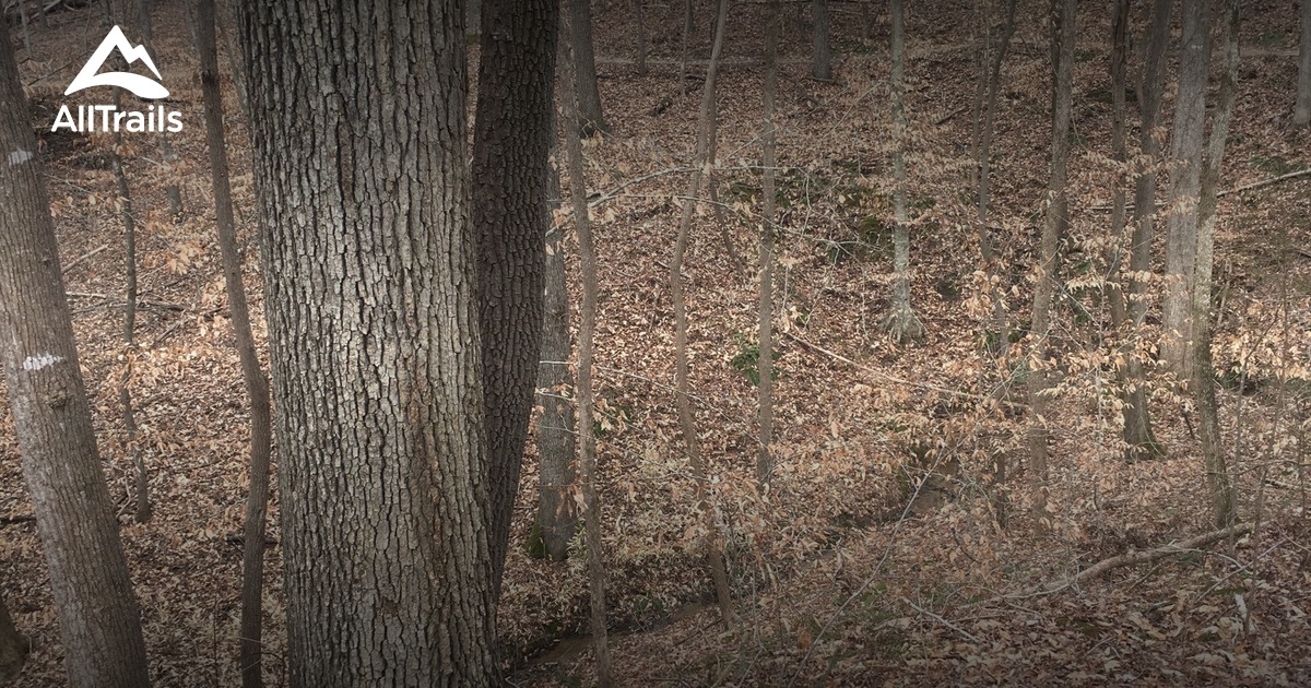 Best hikes and trails in Lake Hartwell State Park | AllTrails