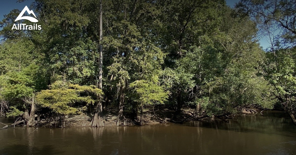 Best hikes and trails in Lynches River County Park | AllTrails