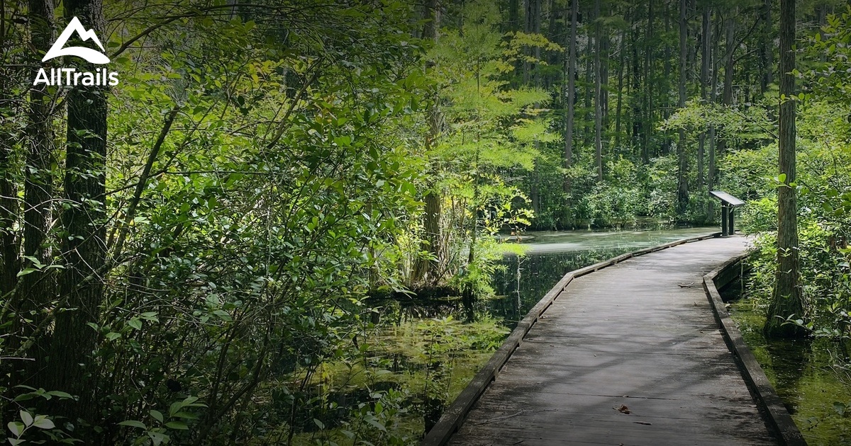 Best wheelchair-friendly trails in Woods Bay State Park | AllTrails