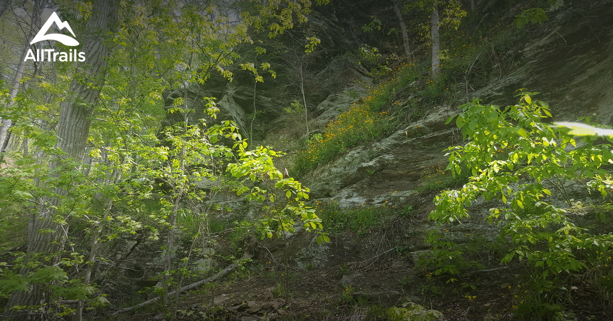 Best Trails in Sprewell Bluff Park - Georgia | AllTrails