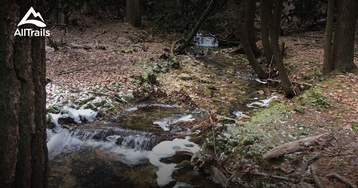 Best Trails in Snyder-Middleswarth Natural Area - Pennsylvania | AllTrails