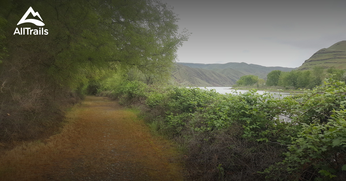 Best hikes and trails in Chief Timothy Park | AllTrails