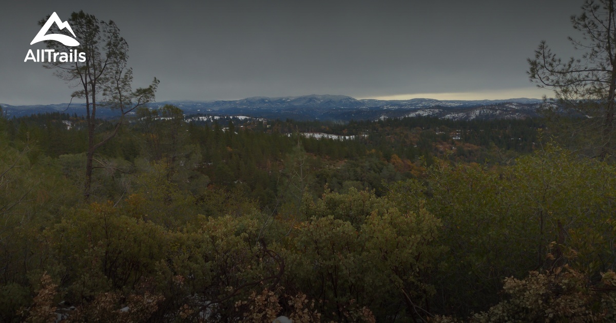 Best Trails in Mount Zion State Forest - California | AllTrails