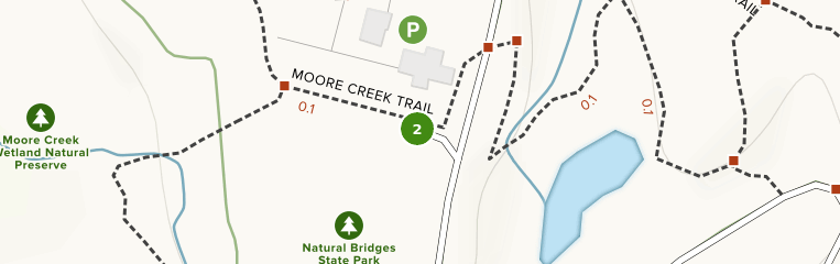 Best Trails in Natural Bridges State Beach - California | AllTrails