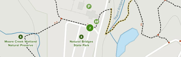 Best Trails in Natural Bridges State Beach - California | AllTrails