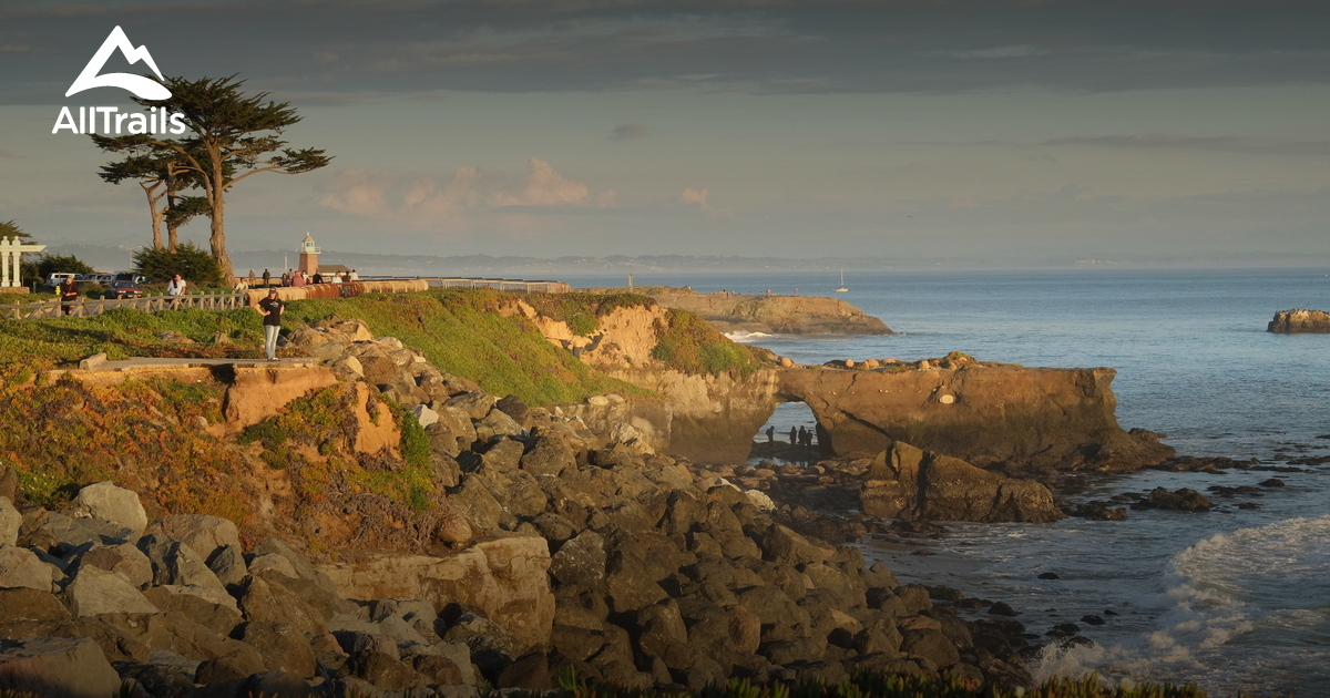 Best hikes and trails in Natural Bridges State Beach | AllTrails