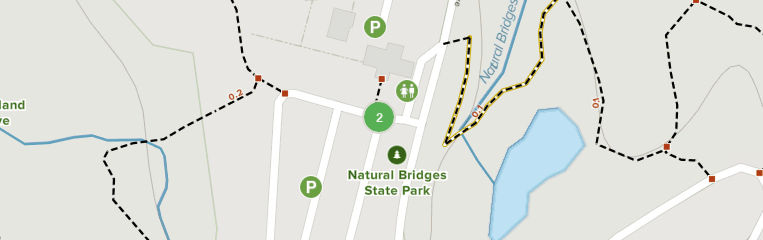 Best Hikes and Trails in Natural Bridges State Beach | AllTrails