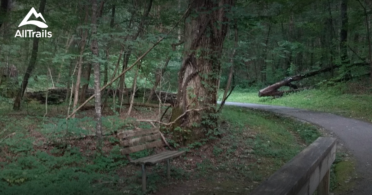 Best hikes and trails in Barren River Lake State Resort Park | AllTrails