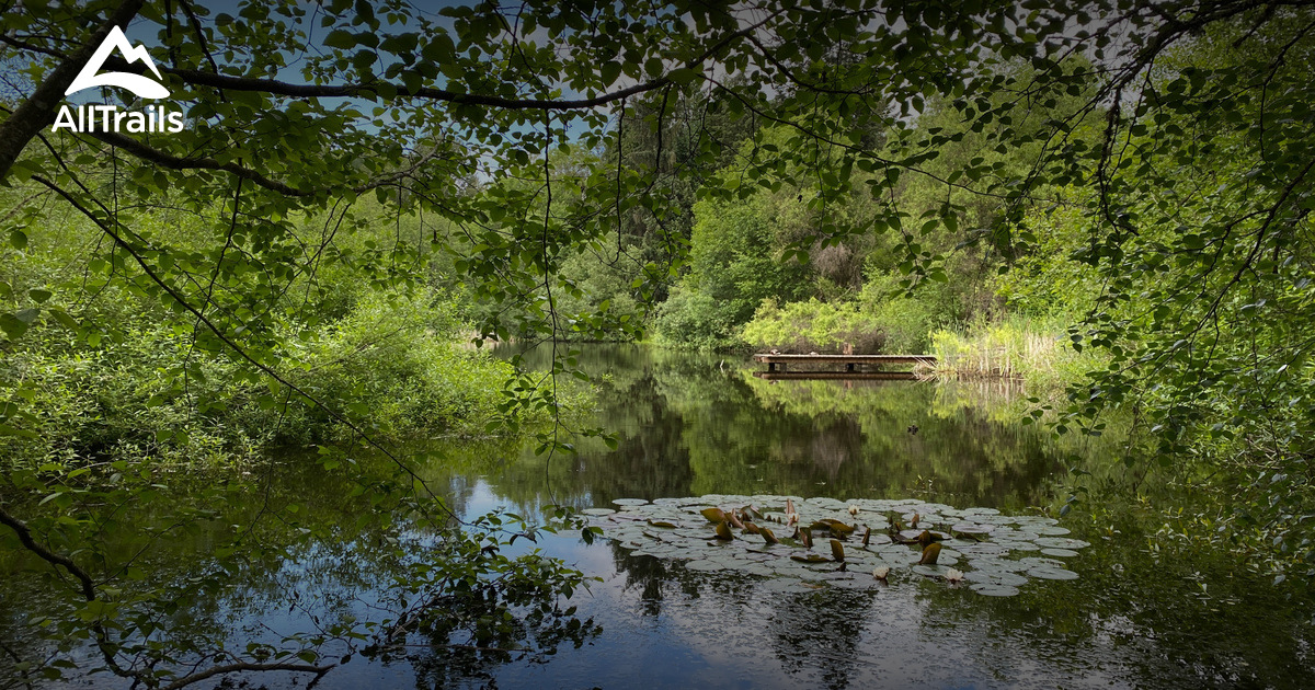 Best hikes and trails in West Hylebos Wetlands Park | AllTrails
