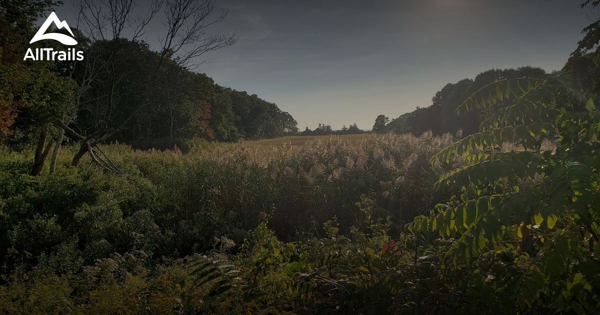 Best hikes and trails in Hammonasset Beach State Park | AllTrails