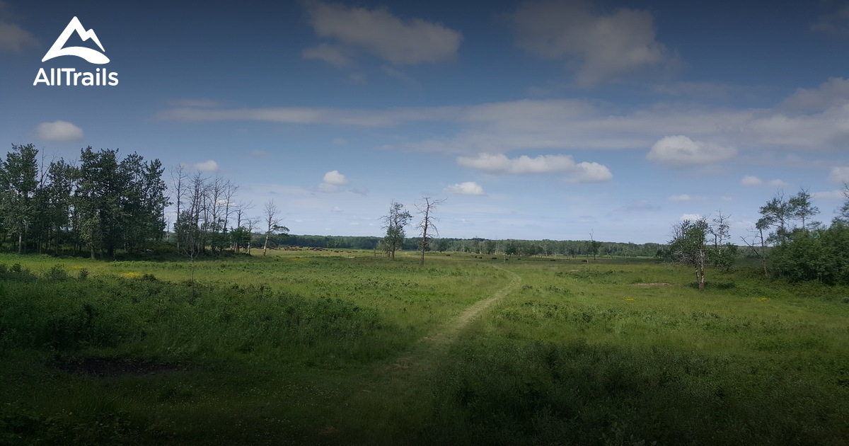 Best Trails in Elk Island National Park - Alberta, Canada | AllTrails