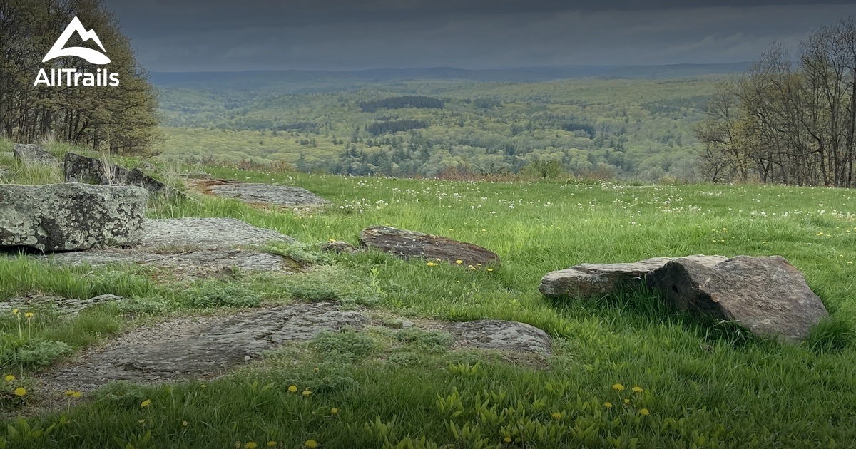 Best hikes and trails in Mohawk Mountain State Forest State Park ...