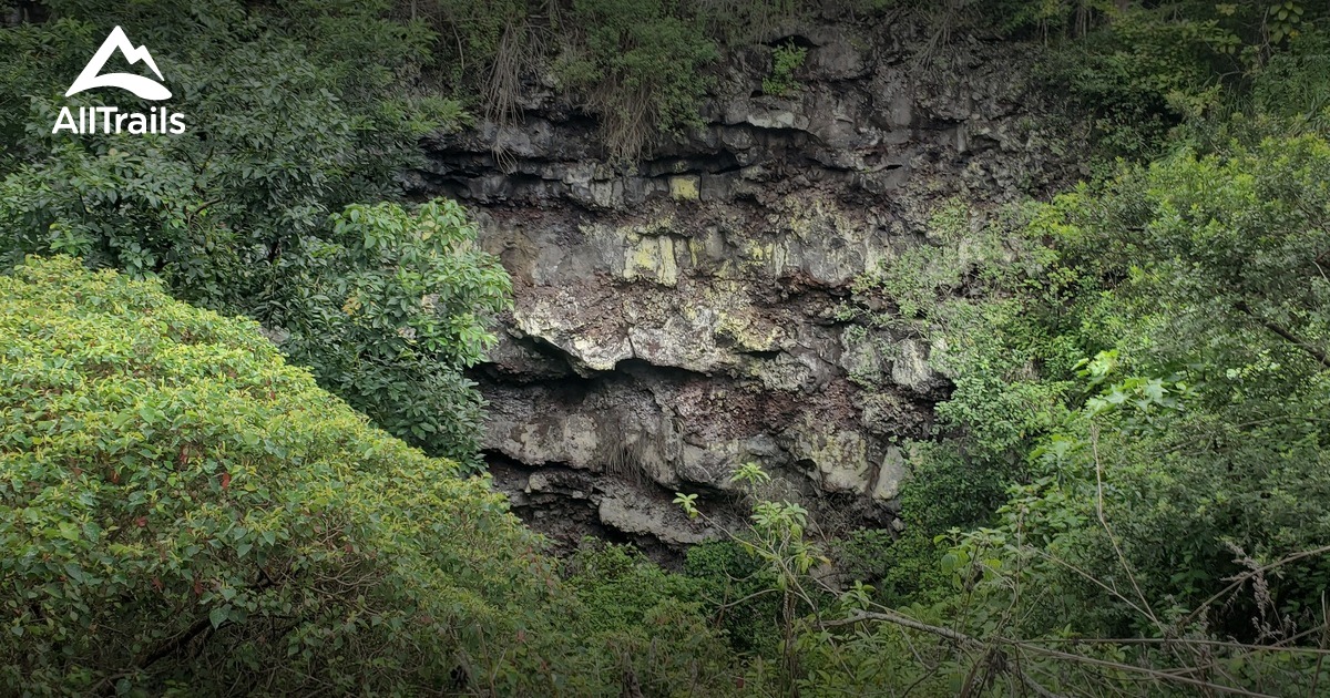 Best hikes and trails in Manukā State Wayside | AllTrails