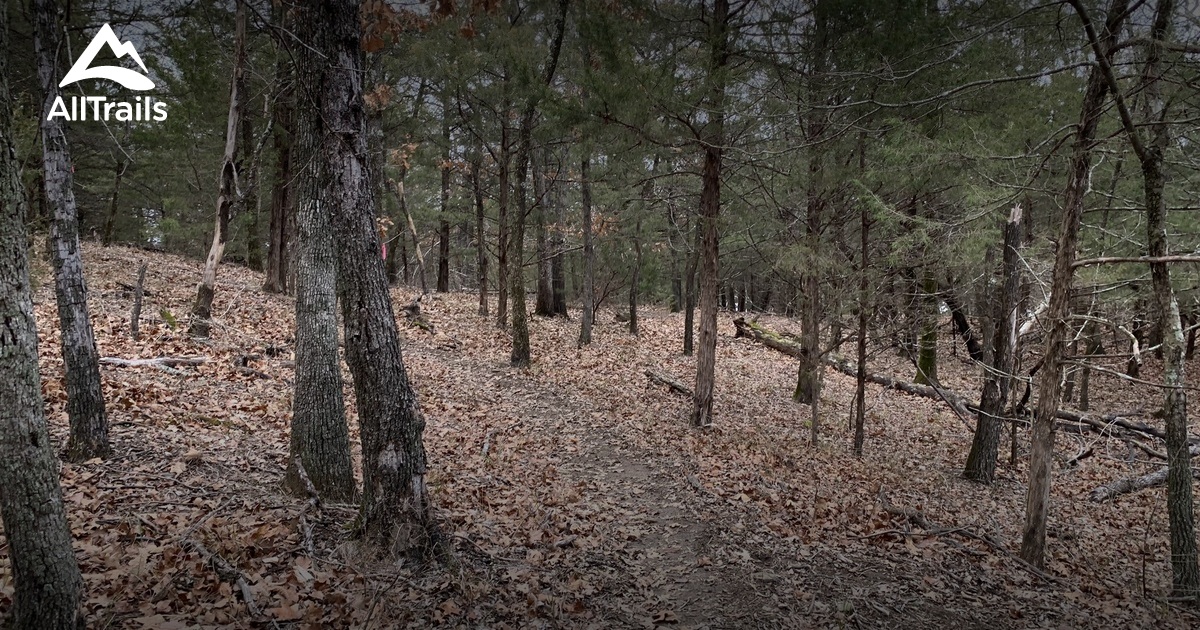 Die Besten Spaziergänge in Lake Eufaula State Park: Arrowhead Area ...