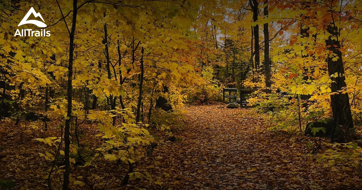 Best trail running trails in Montchâtel Park | AllTrails