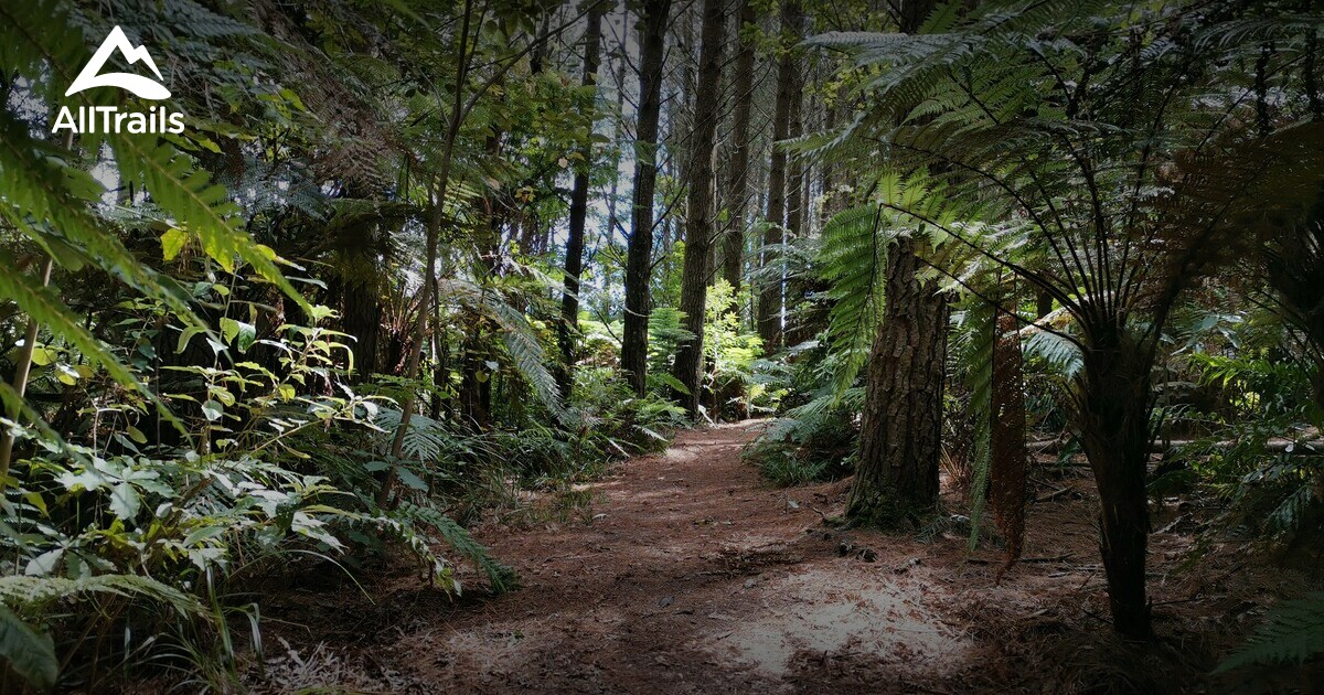 10 Best hikes and trails in TECT Park | AllTrails