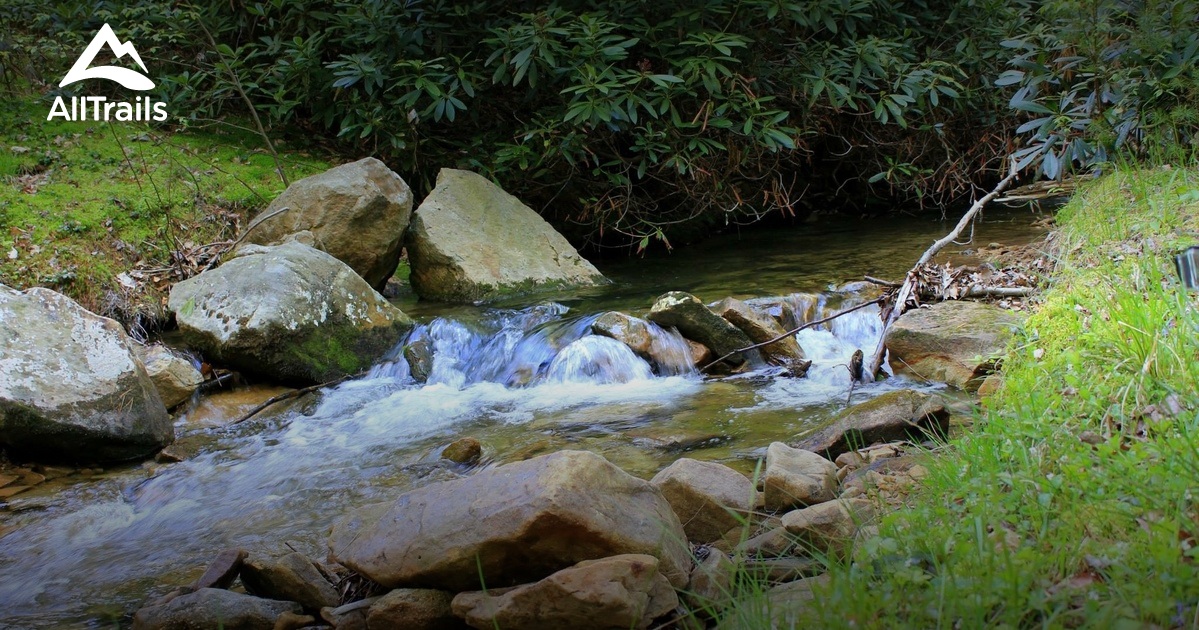 10 Best hikes and trails in Clear Creek State Forest | AllTrails