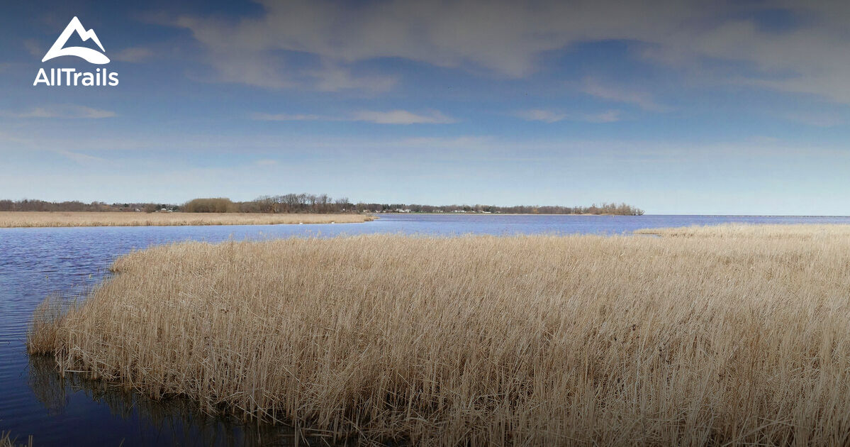 Best hikes and trails in Braddock Bay Park | AllTrails