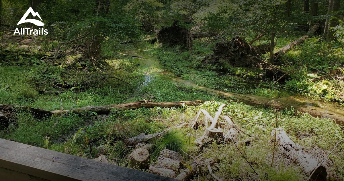 Best hikes and trails in Caleb Smith State Park Preserve | AllTrails Best hikes and trails in Caleb Smith State Park Preserve | AllTrails