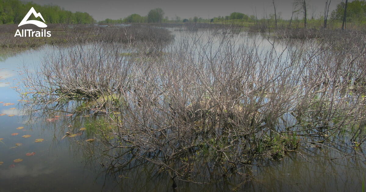 Best moderate trails in Plaisance National Park | AllTrails