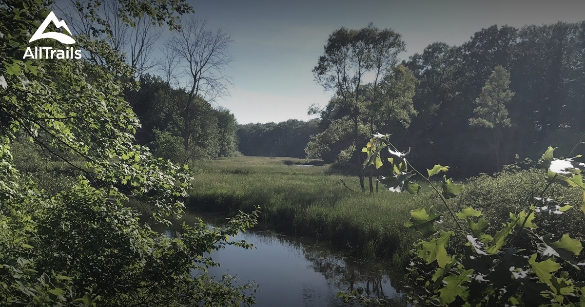 Best trails in The Nature Center at Hemlock Crossing, Michigan | AllTrails