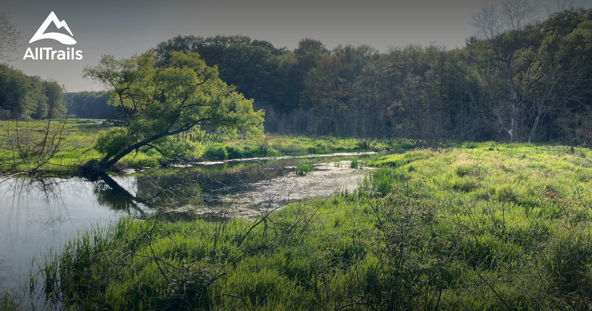Best hikes and trails in The Nature Center at Hemlock Crossing | AllTrails