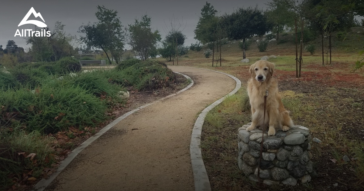 Best hikes and trails in Peck Road Water Conservation Park | AllTrails