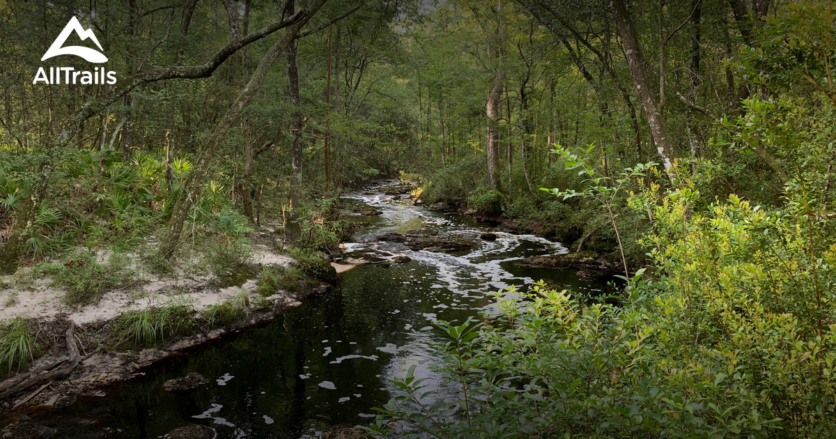 Best hikes and trails in Falling Creek Falls Park | AllTrails