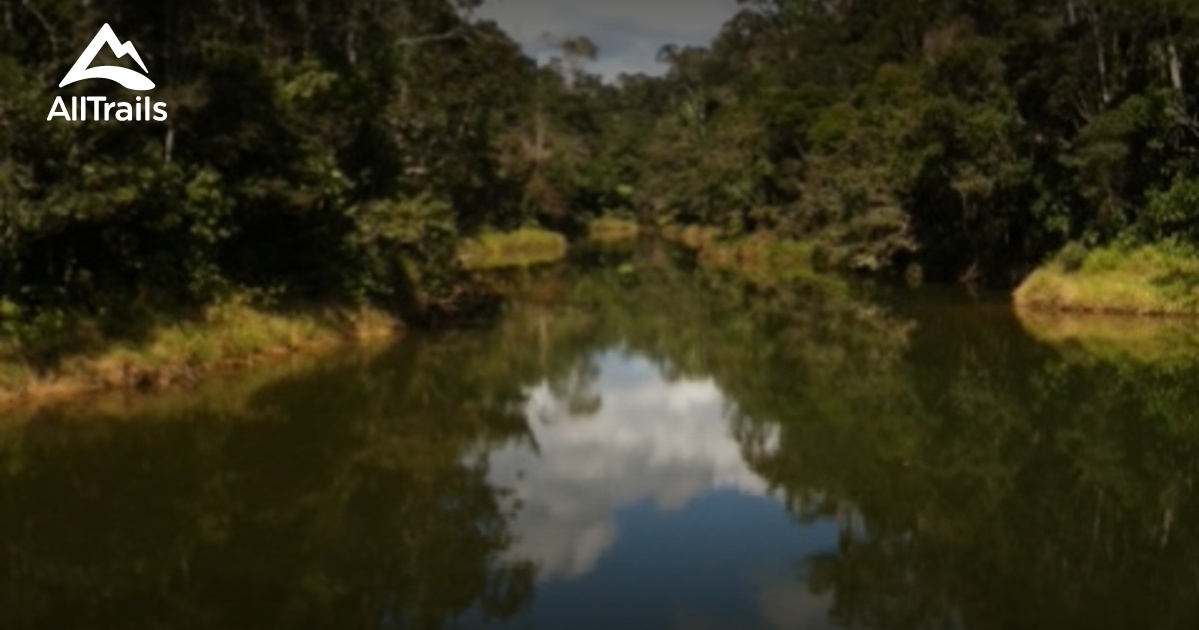 Best hikes and trails in Parc national Andasibe Mantadia | AllTrails