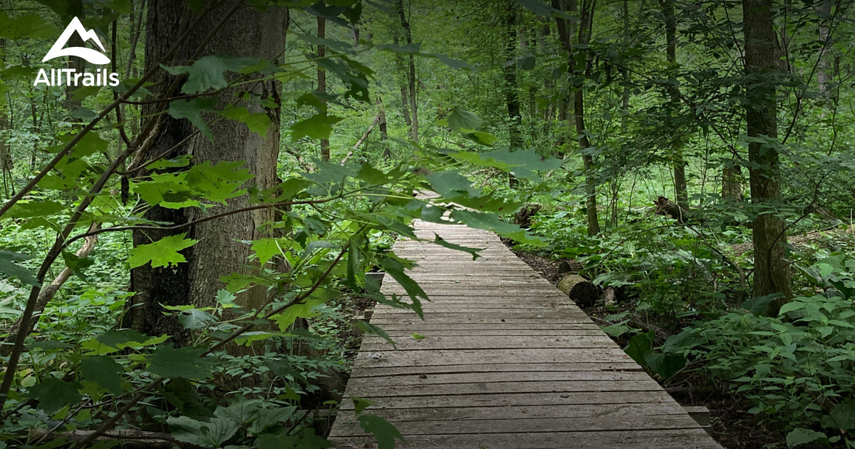 Best hikes and trails in Thames Talbot Land Trust | AllTrails