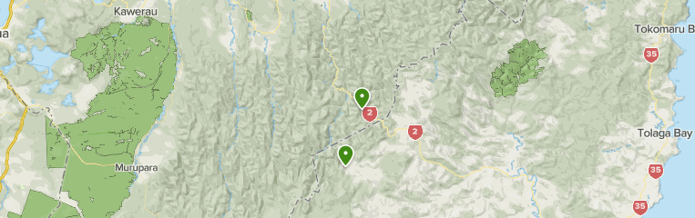 Best Trails in Waioeka Gorge Scenic Reserve | AllTrails