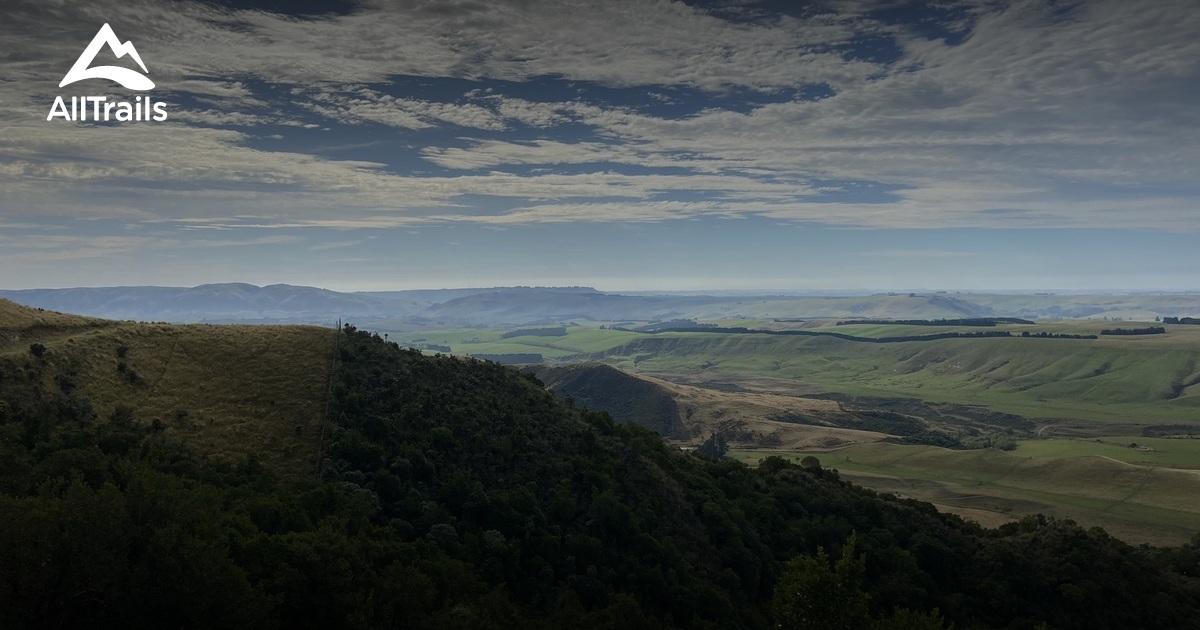 Best hikes and trails in Mount Nimrod Scenic Reserve | AllTrails
