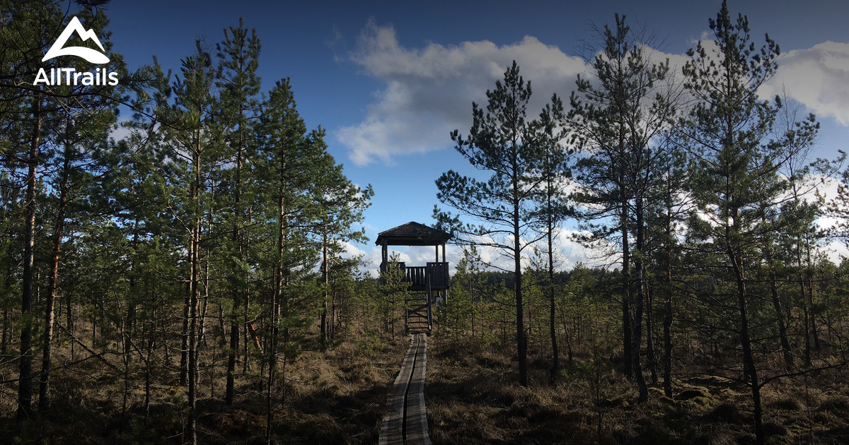 Best hikes and trails in Oleru purvs | AllTrails